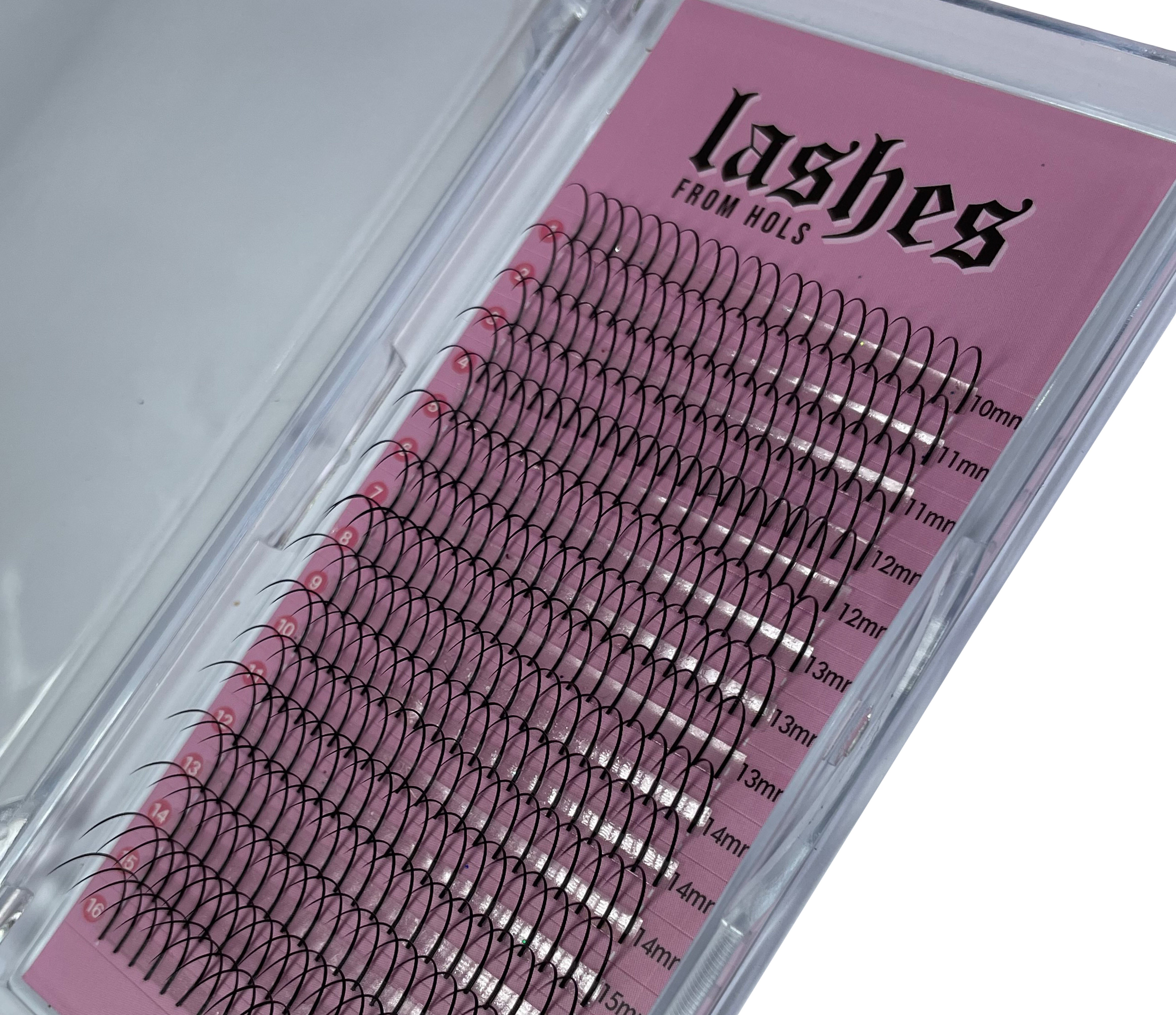 Lash Trays – Lashes From Hols
